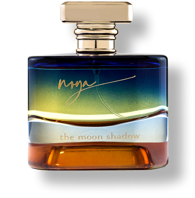 House of Noya – House of Noya US